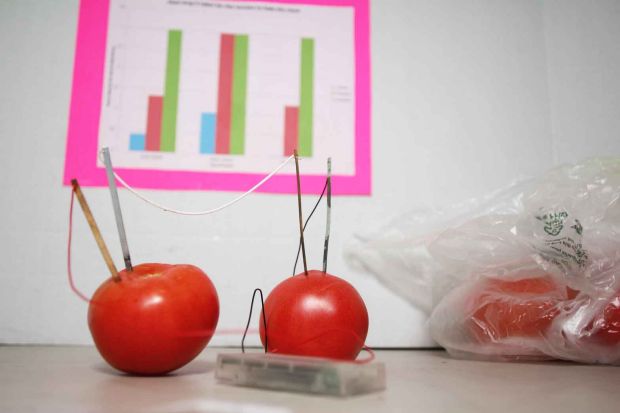 â Scientific prowess on display at HCS science fair - Olean Times Herald