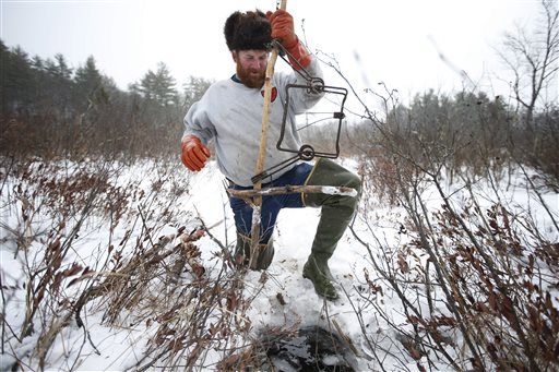 Slow Russian economy catches up with US wild-fur trappers - Olean Times ...