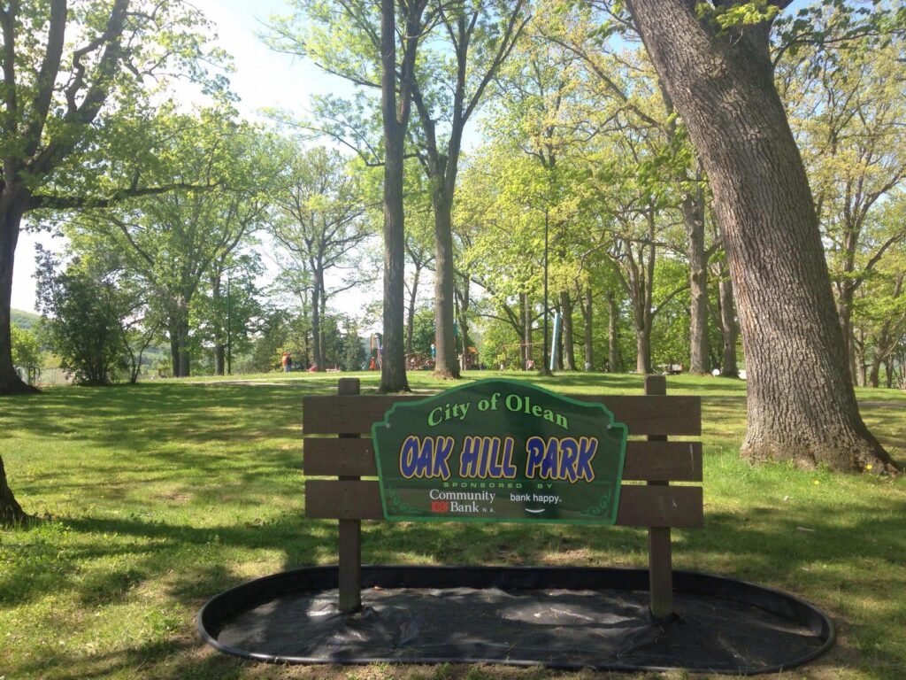 State and Union: Oak Hill Park was once Olean’s burial ground - Olean ...
