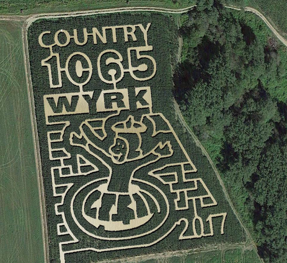 Curious George selected as Pumpkinville maze character - Olean Times Herald