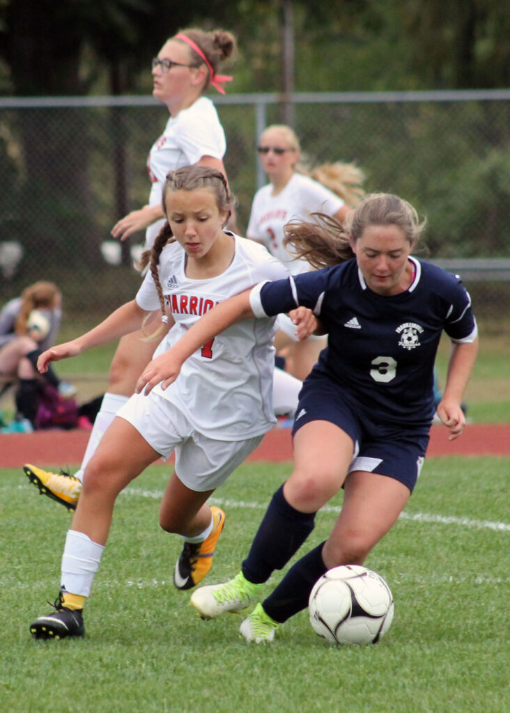 Heister scores 5 to lift Olean - Olean Times Herald