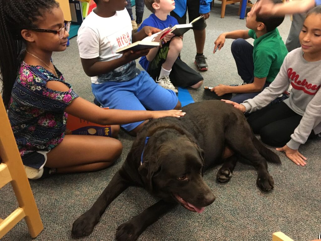 How dogs can help students in and out of the classroom - Olean Times Herald