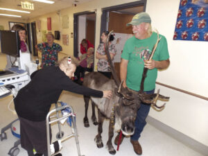 Reindeer, without Santa, visit Cuba Memorial Hospital - Olean Times Herald