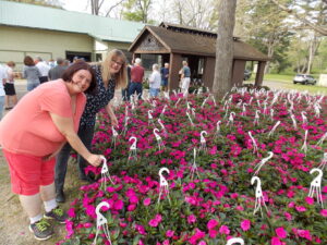 Genesis House geranium sale is 20 years old - Olean Times Herald