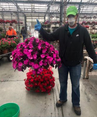 Genesis House will be able to conduct geranium fundraiser - Olean Times ...