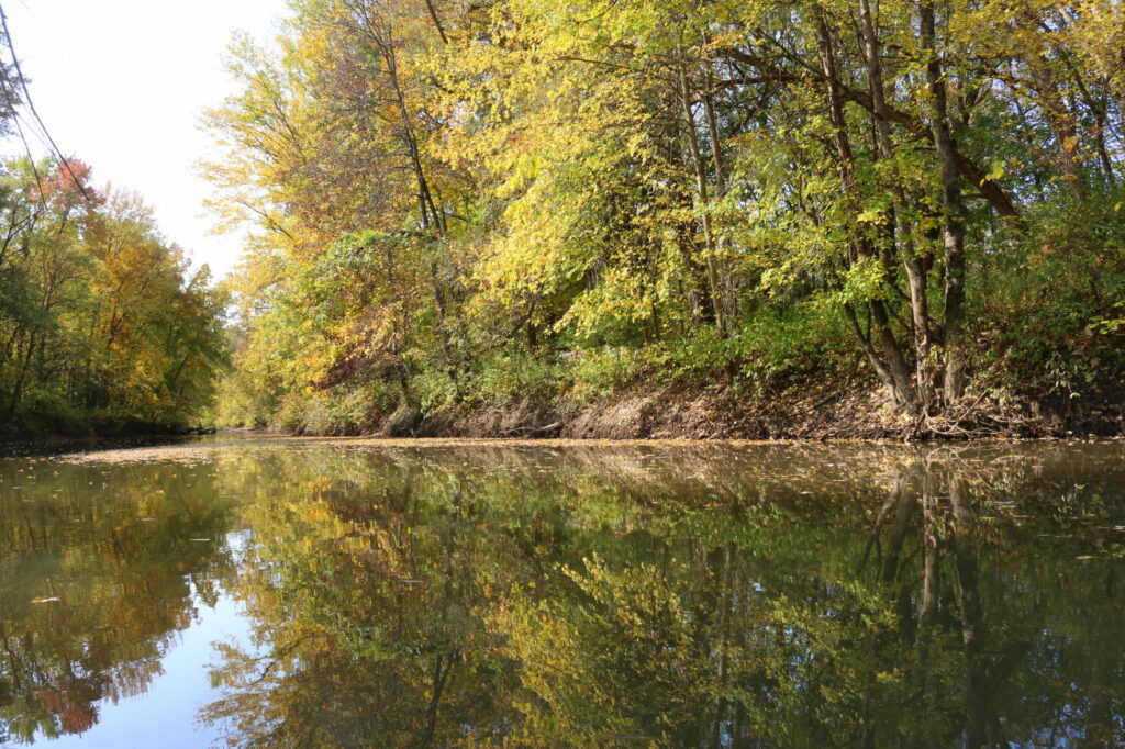 The Dredge, Conewango Creek are colorful fall paddles - Olean Times Herald