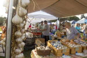 Cuba Garlic Festival to make stinky return in 2021 - Olean Times Herald