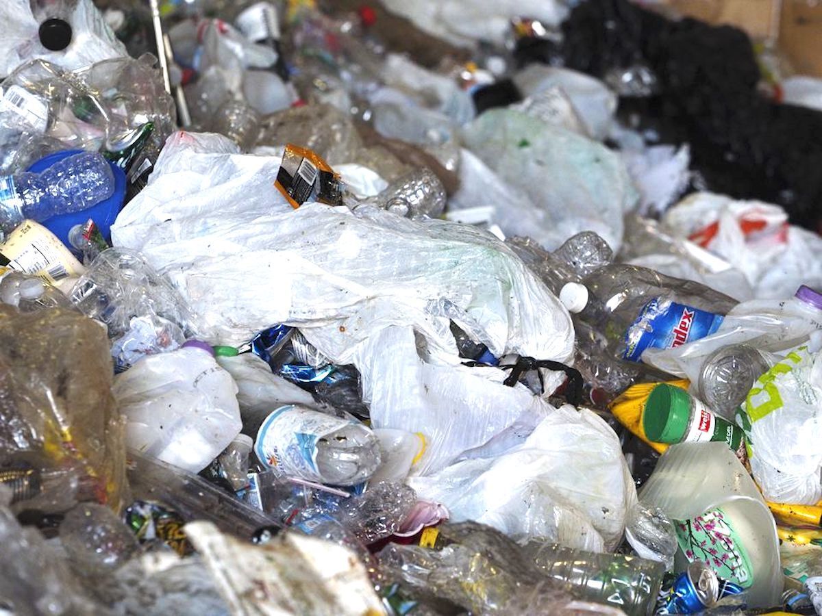 Don’t lump recyclable paper in with plastic packaging - Olean Times Herald