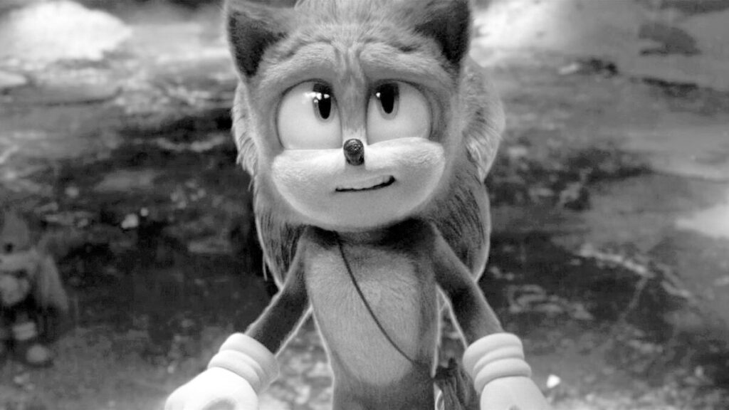 ‘Sonic 2’ levels up thrills, fun over first film - Olean Times Herald