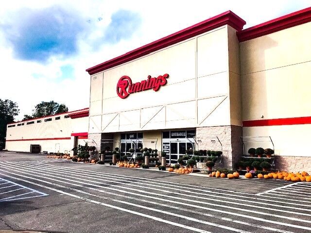 Runnings retail chain buys former Kmart in Wellsville - Olean Times Herald