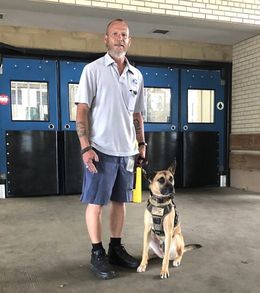 First in US: Olean postal carrier works with support dog - Olean Times ...