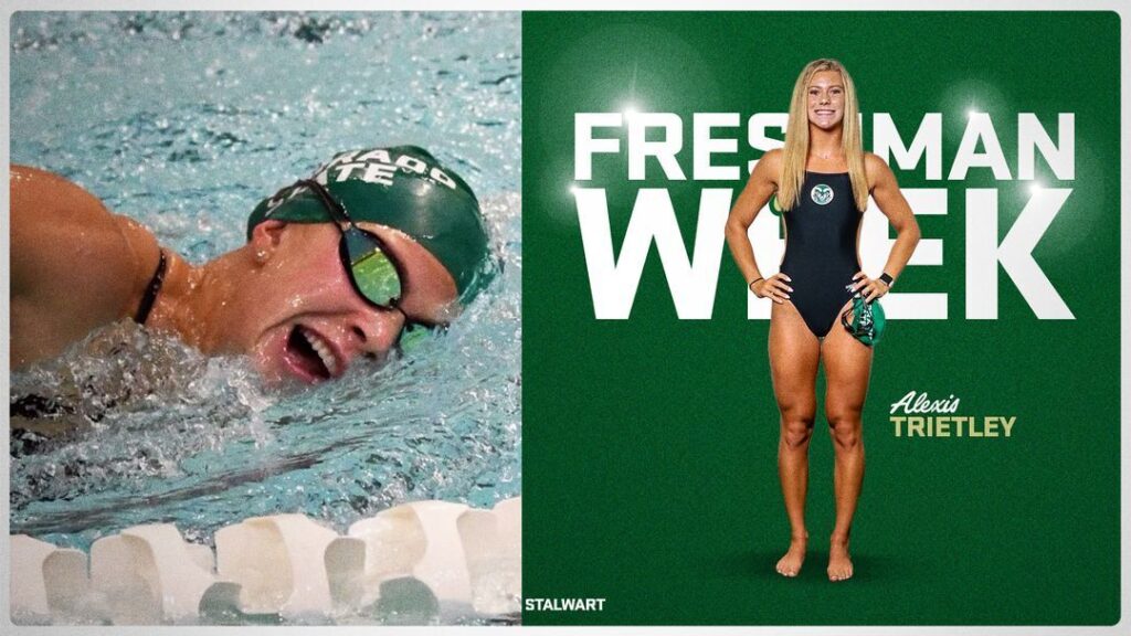 Updates on former Olean star Trietley; Alfieri, Rigerman - Olean Times ...