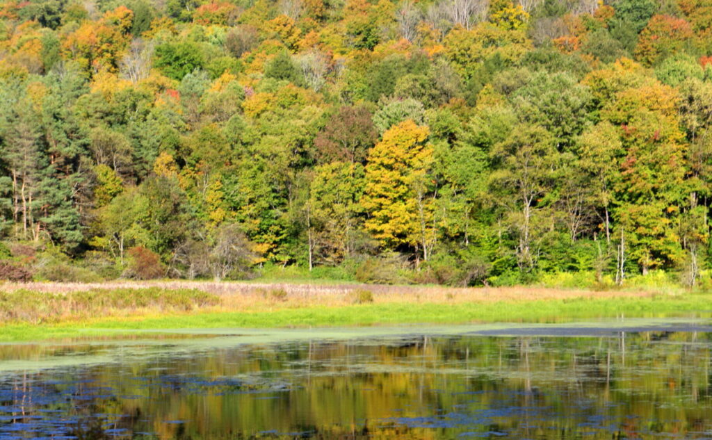 State & Union: With October comes first-snow predictions - Olean Times ...