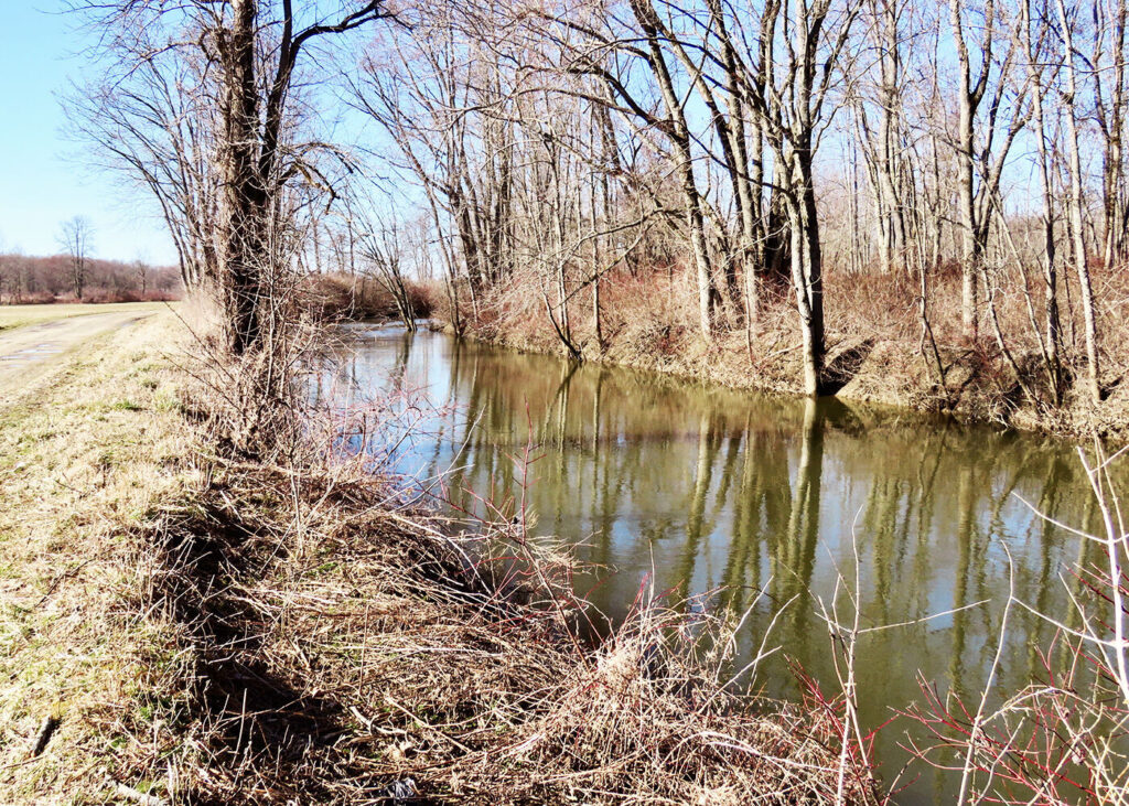 The Dredge became a man-made ditch to control flooding - Olean Times Herald
