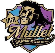 ‘Walmart wolverine’ finishes 11th in nationwide mullet championship ...