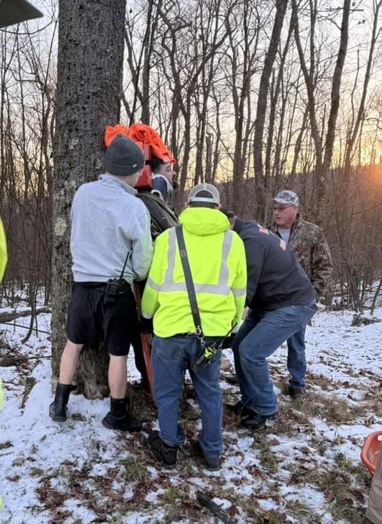 Bradford man recovering after fall from tree stand in Allegany State ...