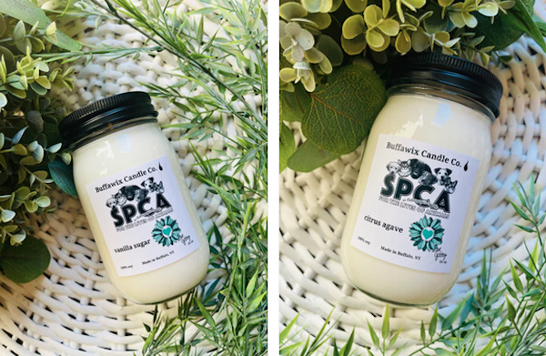 Gabby Kranock's legacy lives on in 'Love, Gabby' animal rescue ...