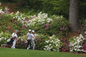 Masters a reunion of the world's best players. But the numbers are ...