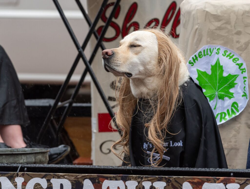 Scenes from the 60th annual WNY Maple Festival parade - Olean Times Herald