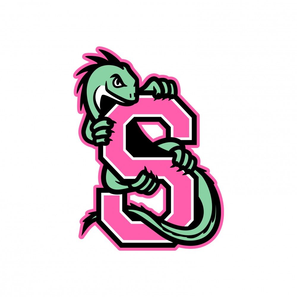 Salamanca Lizards prepared for debut NYCBL season - Olean Times Herald
