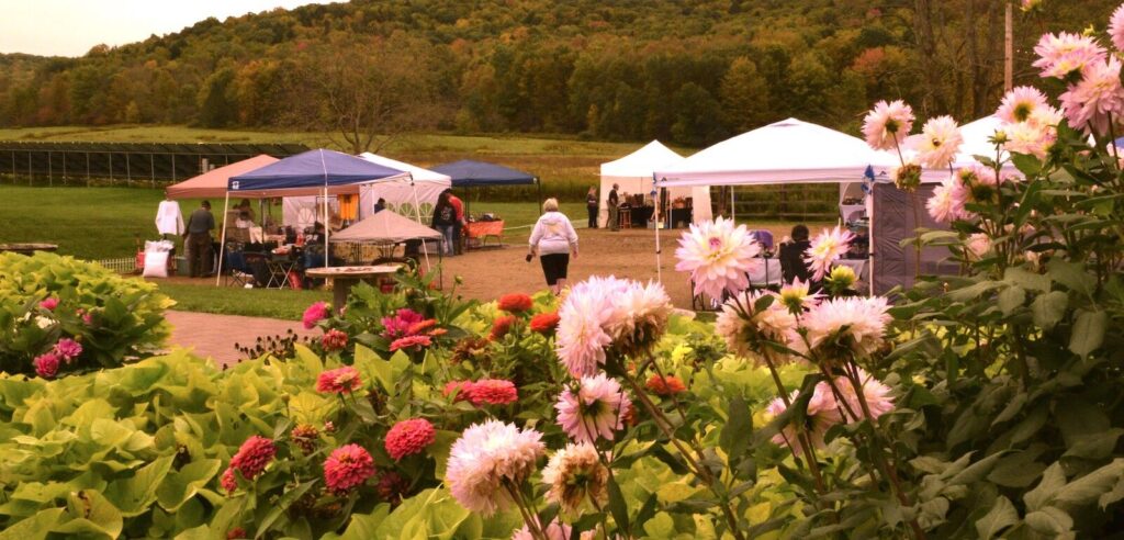 Fall Farm Fest for Pediatric Cancer on Sunday - Olean Times Herald