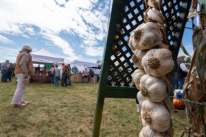 19th annual Cuba Garlic Festival this weekend - Olean Times Herald