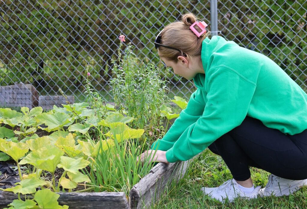 Alfred State students and staff participate in Day of Service - Olean ...