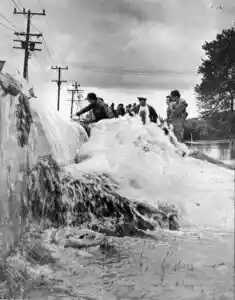 Olean levee repairs needed to ensure accreditation - Olean Times Herald