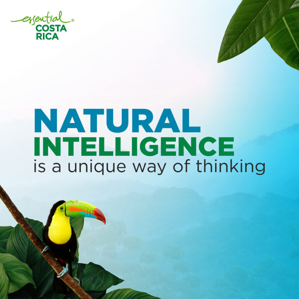 Costa Rica: First country in the world to use artificial intelligence ...