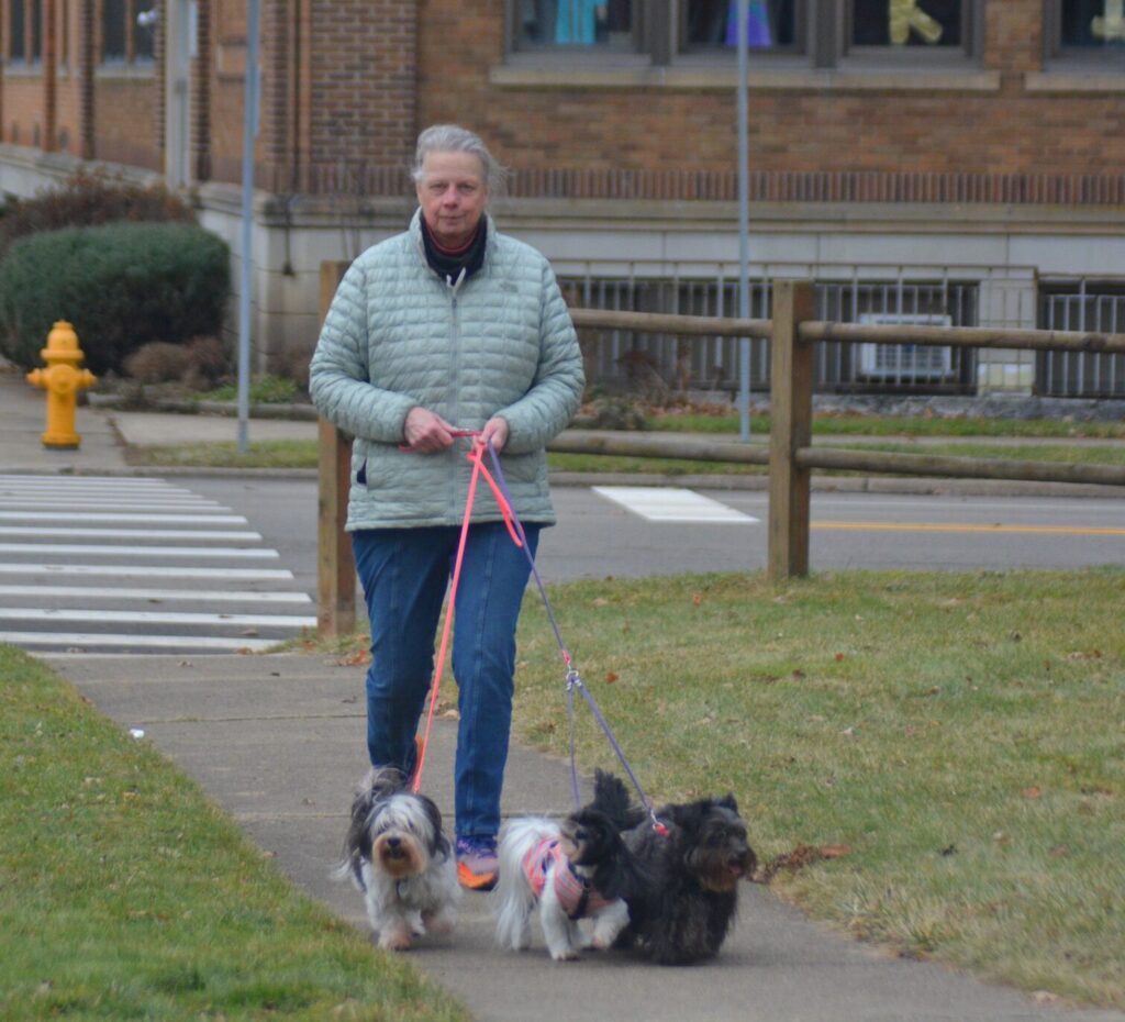 Snow in forecast through weekend - Olean Times Herald