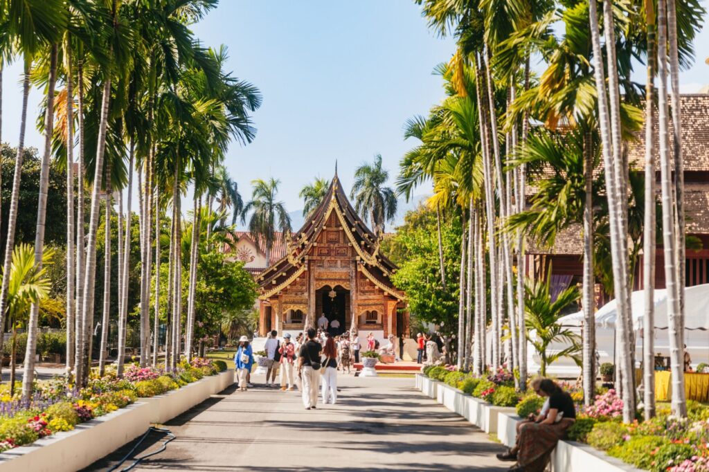 New GetYourGuide Survey Exposes the Truth About "The White Lotus ...