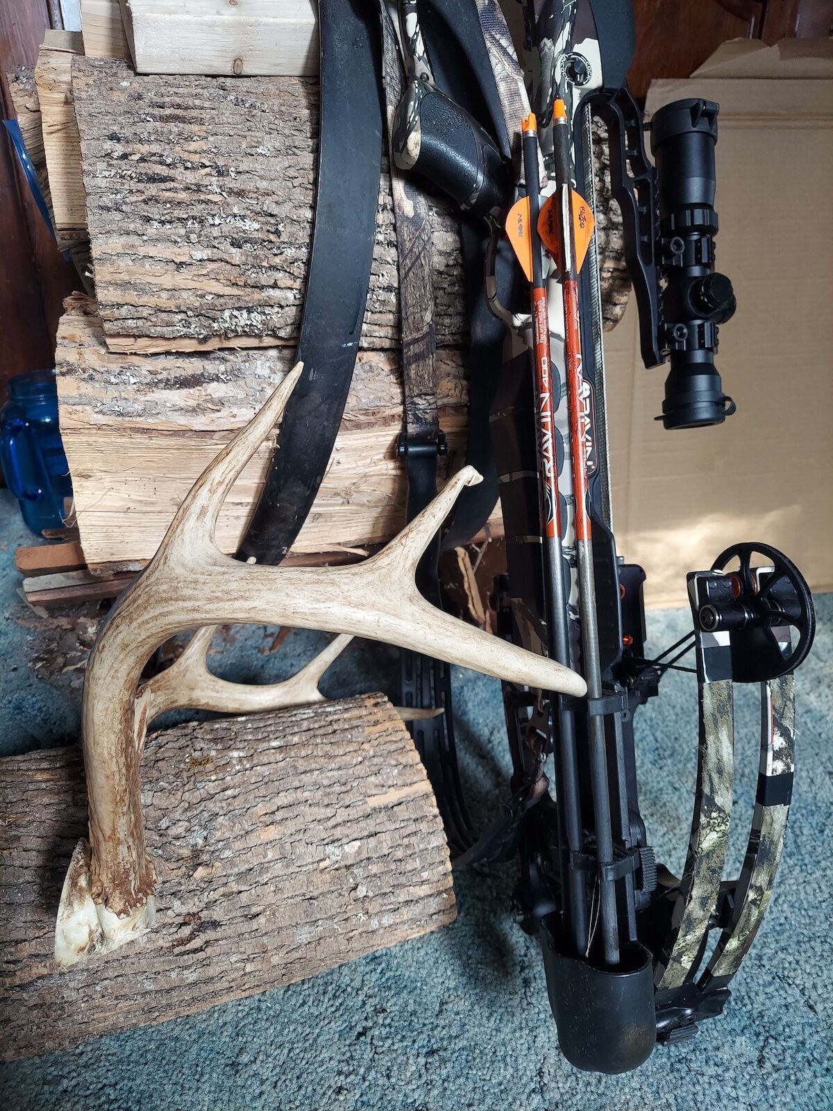 Legislation allowing crossbows throughout NY archery season awaits gov ...