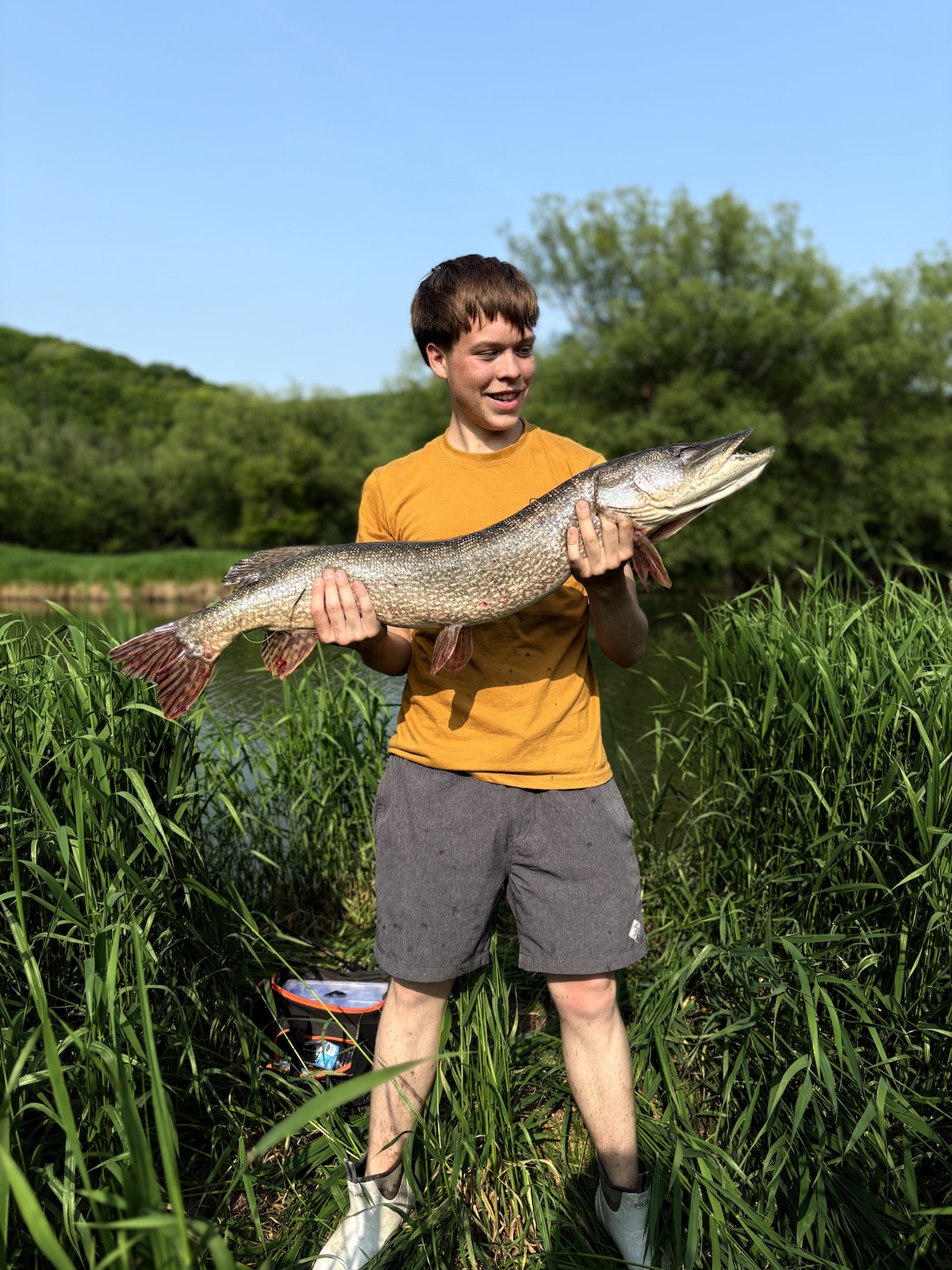 Big northern pike caught in Olean Creek - Olean Times Herald