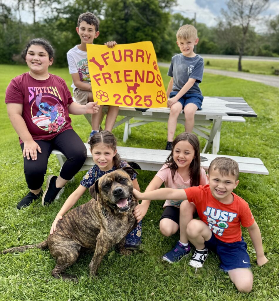 Olean school kids raise $2,000 for SPCA - Olean Times Herald