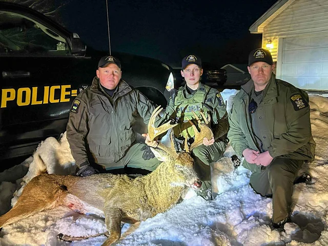 Poached 'King Louie' can't be a NY state record book whitetail - Olean ...
