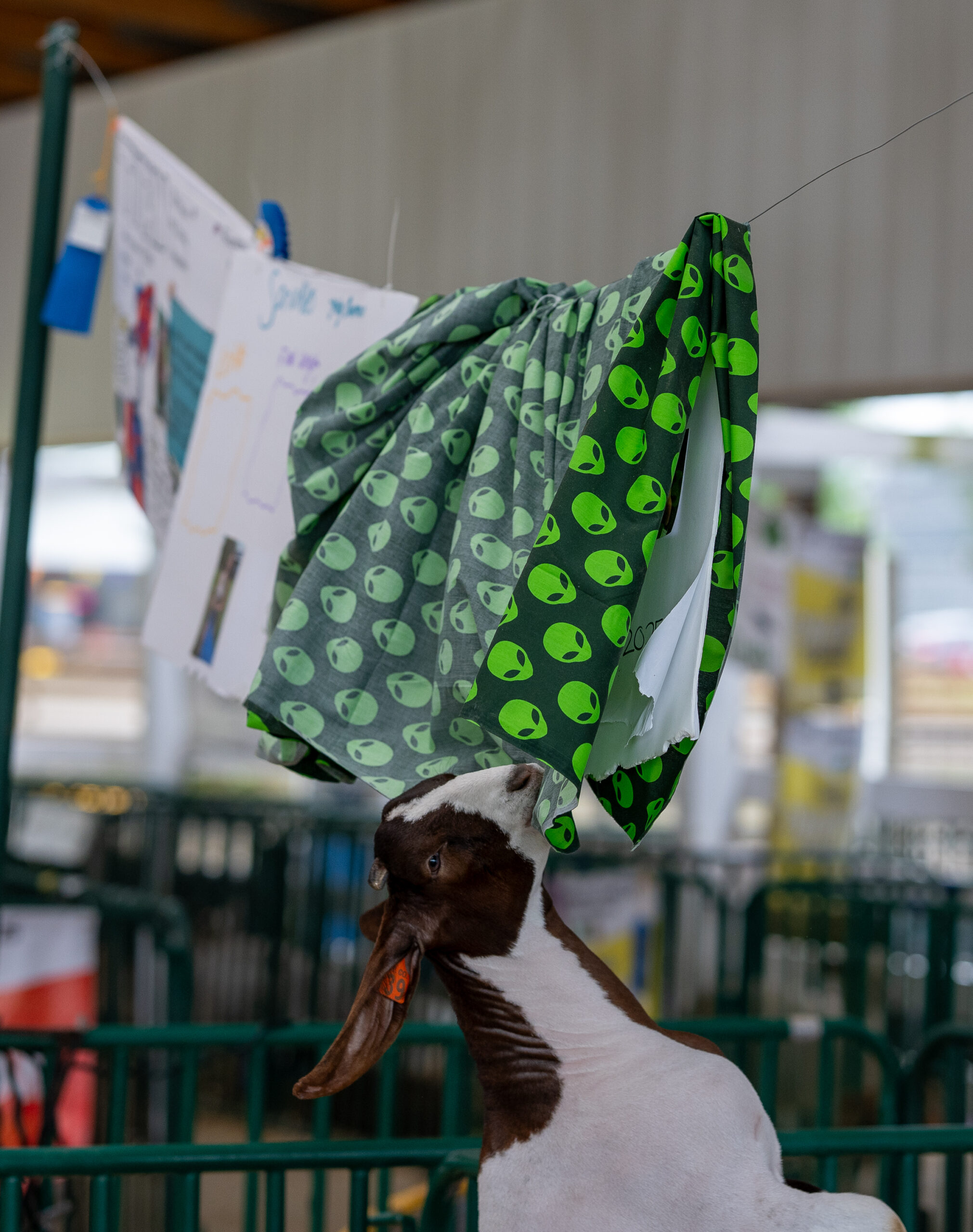 2025 Year in Review - Olean Times Herald