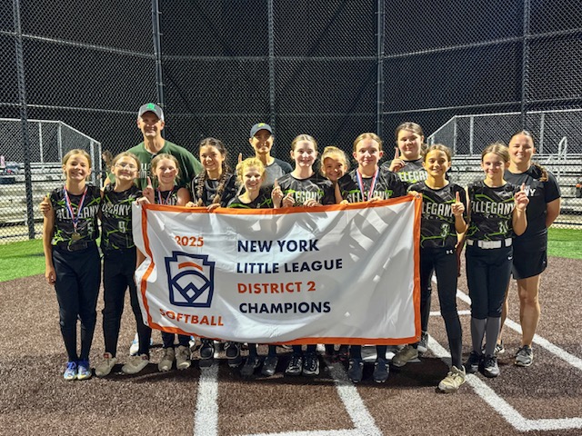 Baseball and softball Little League all-star roundup - Olean Times Herald