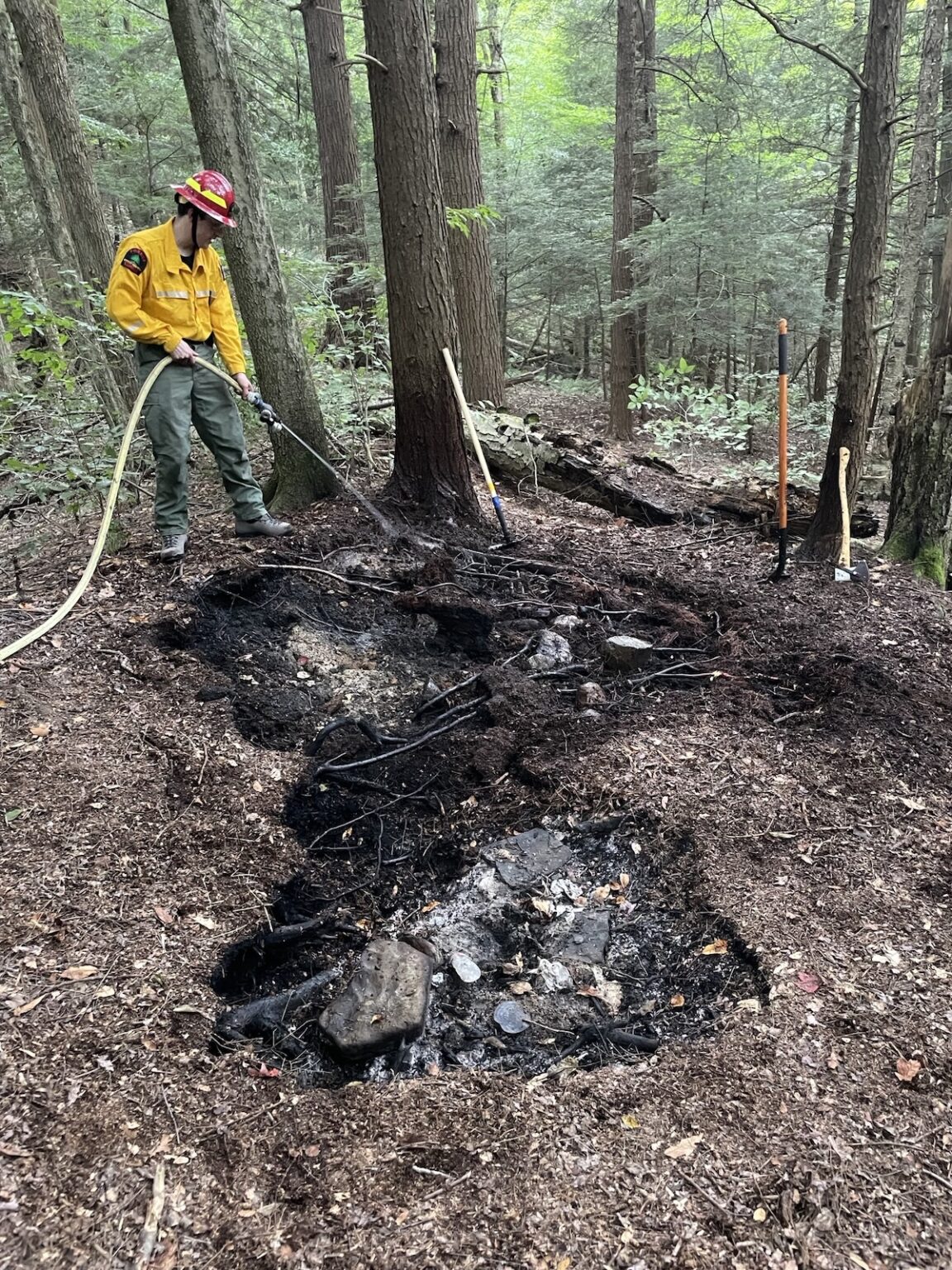 Rangers stop potential wildfire in East Otto - Olean Times Herald