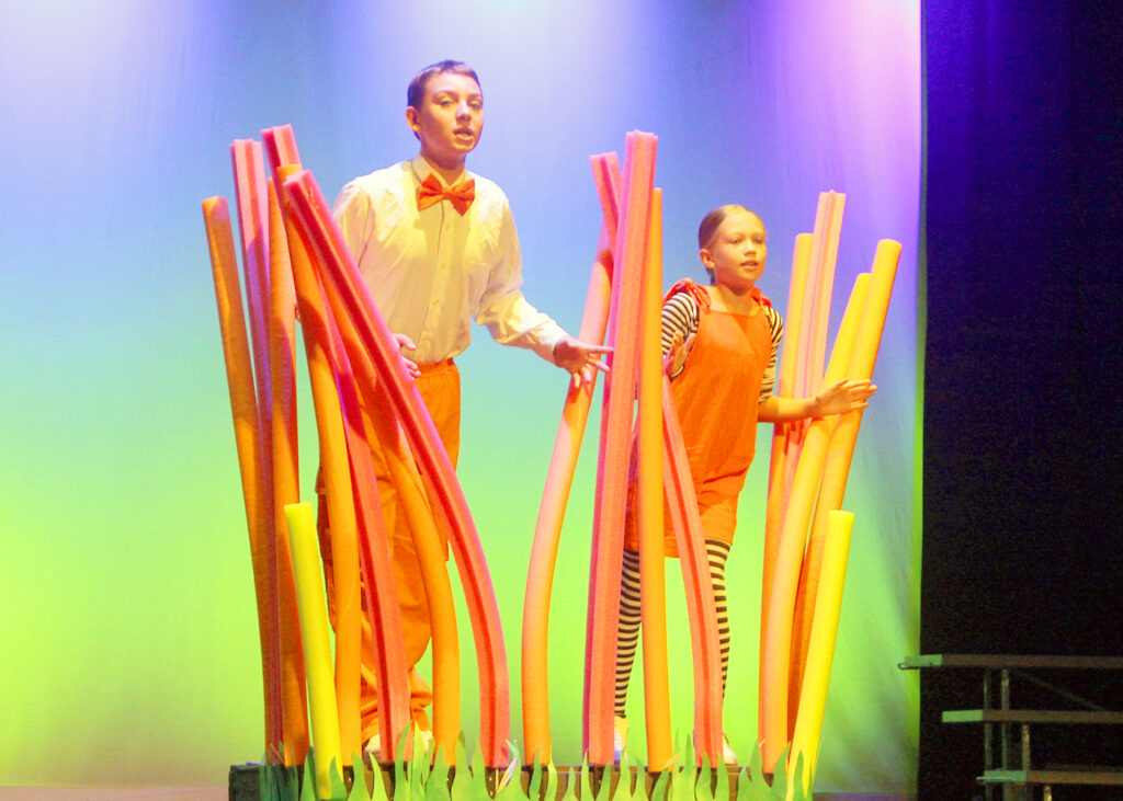 Salamanca Arts Alive presents ‘Finding Nemo Jr.’ on Wednesday, Thursday ...