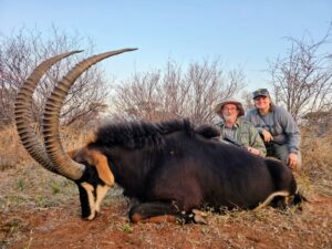 A tricky — and forever memorable — hunt for a South African sable ...