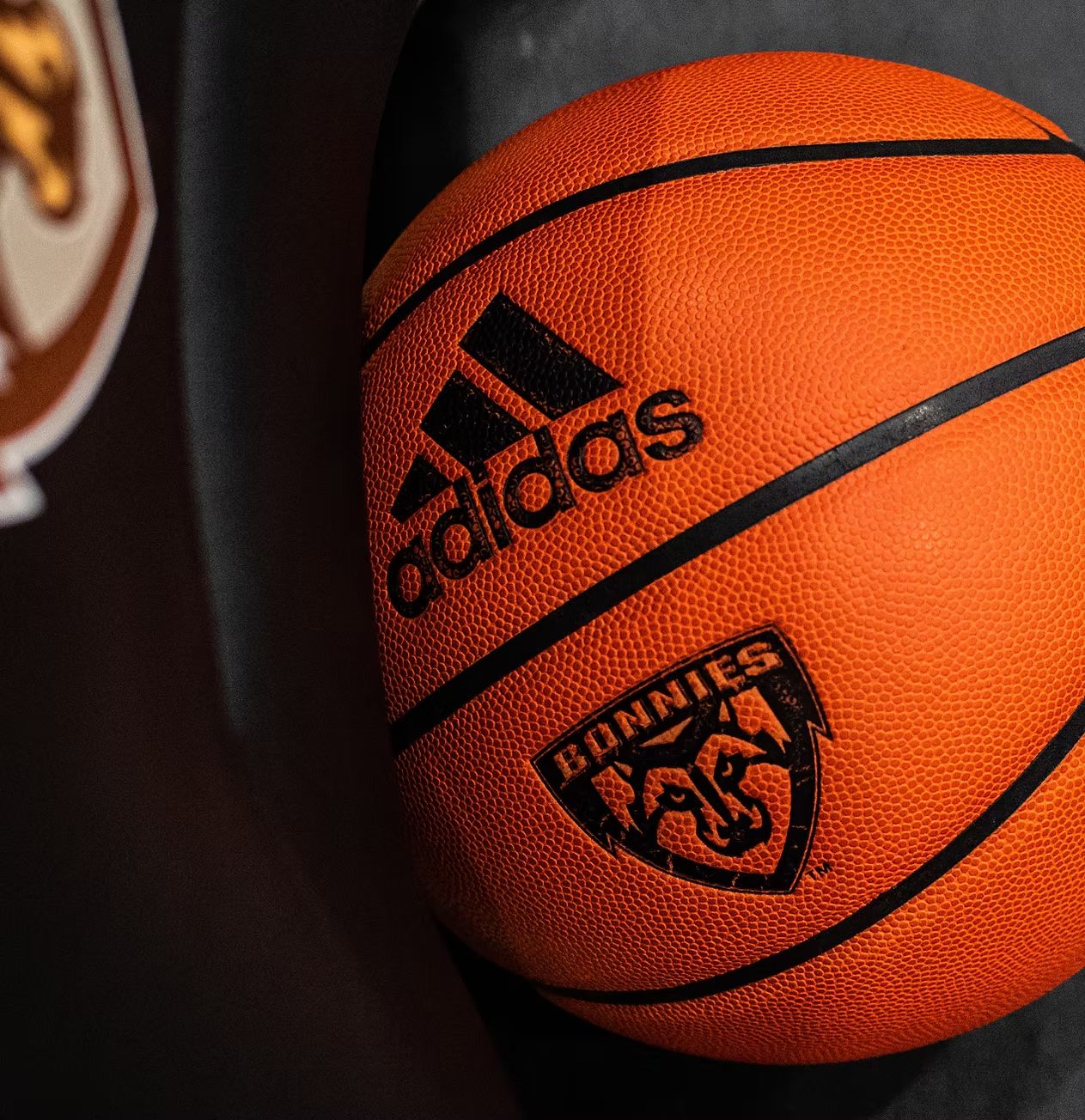 SBU basketball season kick off set with Brown and White Night Sept. 26 ...