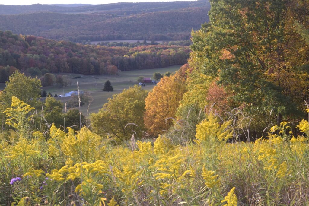 An autumnal view from Lillibridge Road - Olean Times Herald