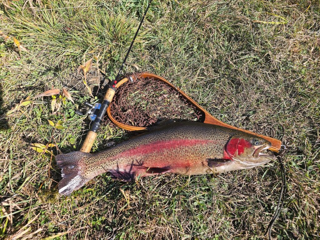 Alfred State marketing students meet with professionals in industry ...