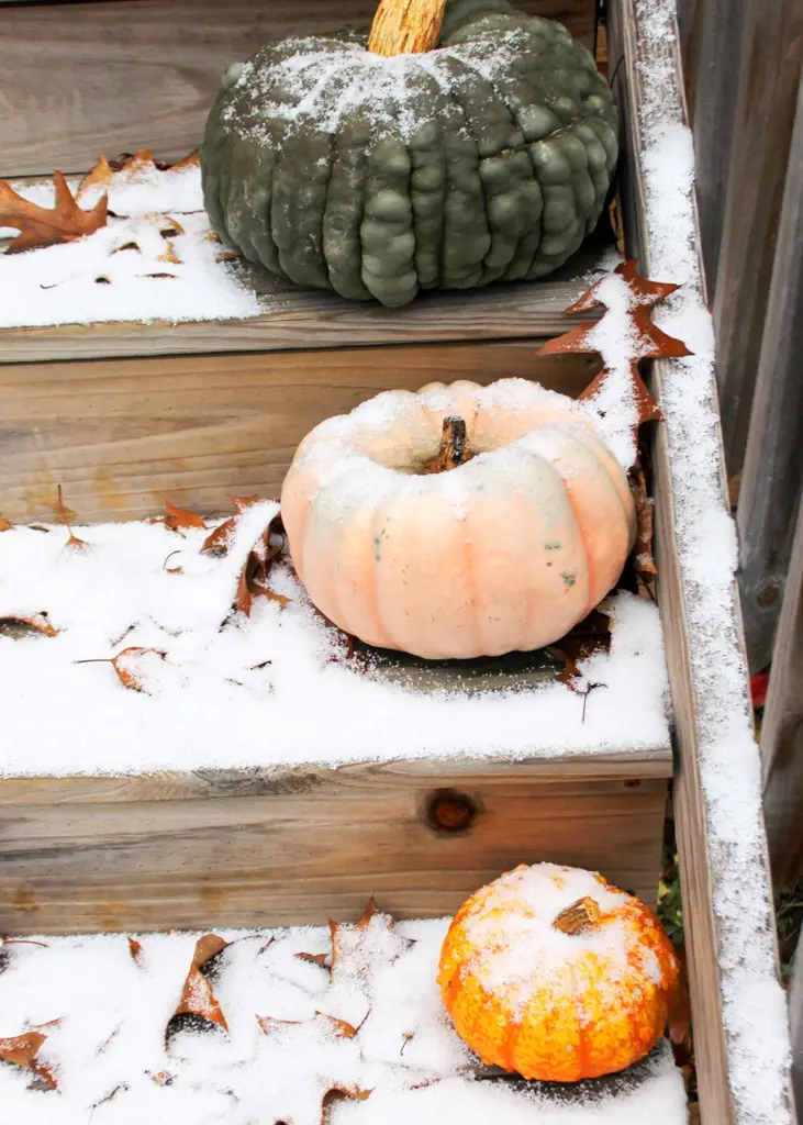 State & Union: Time again for entries in first snow contest - Olean ...