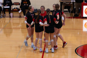 Huskies, Eagles and Panthers advance to volleyball semifinals - Olean ...