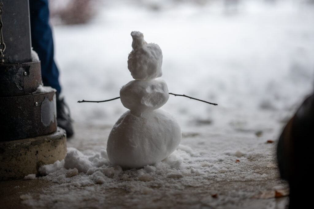 Scenes from a snowy Lincoln Park - Olean Times Herald