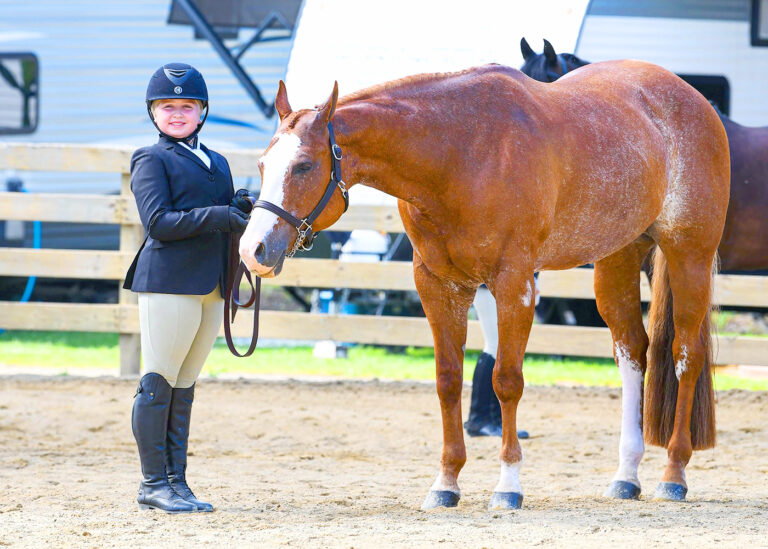 Cattaraugus County 4-H announces 2026 Open Horse show dates - Olean ...