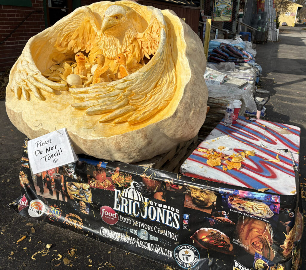 Eric Jones wraps up pumpkin carving season with national tour, Olean ...
