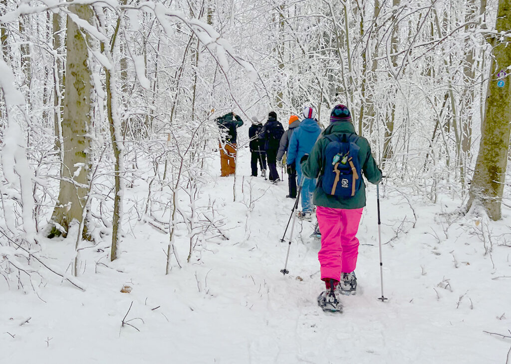 Allegany State Park holding weekly snowshoe hikes this winter - Olean ...
