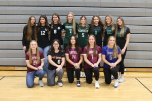 Portville’s Gariepy elevated Panthers’ standard - Olean Times Herald